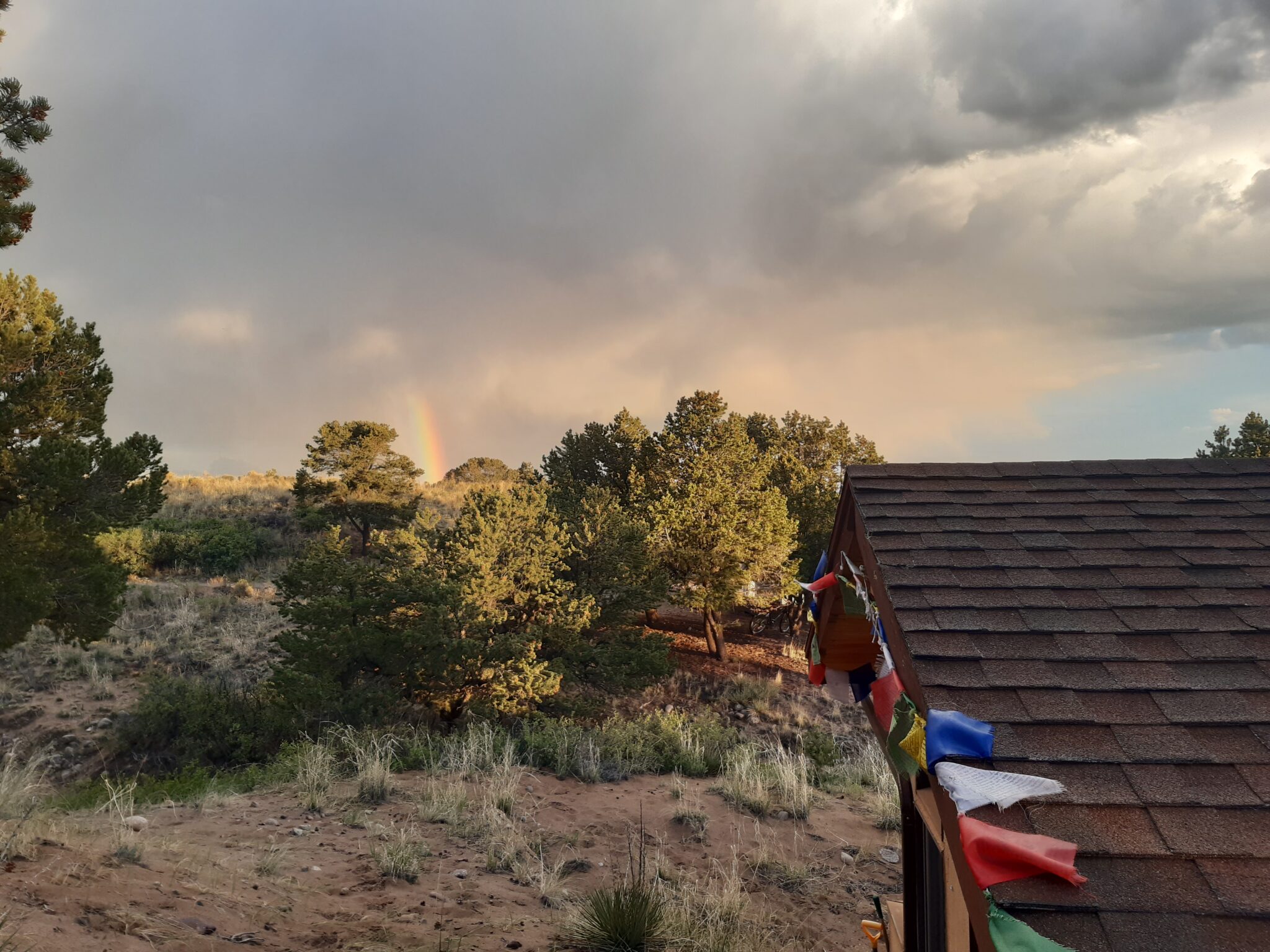 Inside the Mind Lab: Notes from Long-Term Retreat - Center for ...